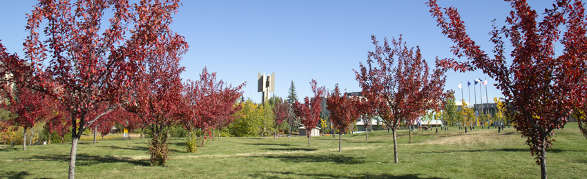 Non Academic Misconduct MRU non-academic-misconduct-mru